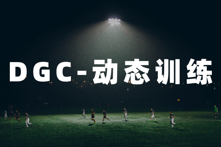 DGC-动态训练 · 哈比足球